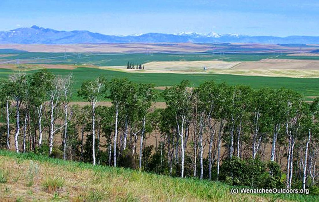 Badger Mountain Family Ride – Wenatchee Outdoors