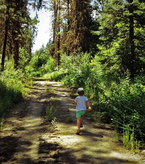 Camas Meadows - Wenatchee Outdoors