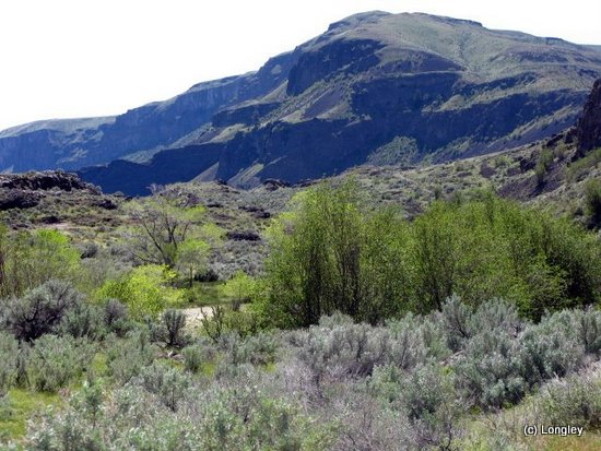 Colockum-Tarpiscan to Cape Horn - Wenatchee Outdoors