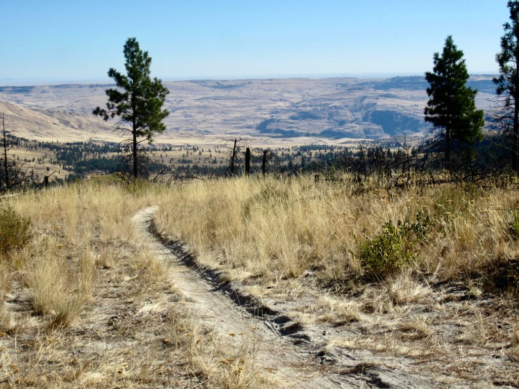 Homestead Trail-Sage Hills – Wenatchee Outdoors