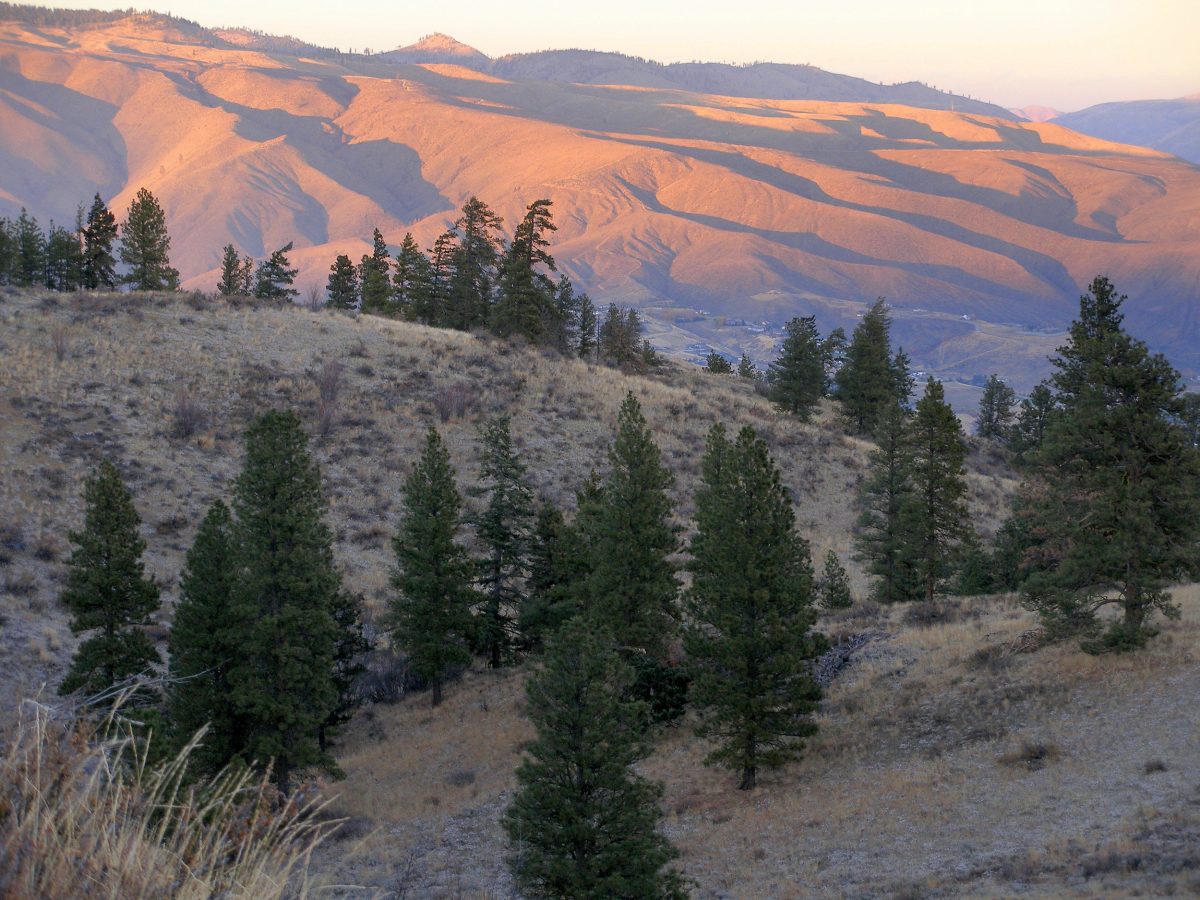 Mindful Wanderings in the Sage Hills - Wenatchee Outdoors